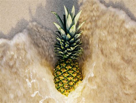 Hypnotic Orgasms Everything You Need To Know Odiaries