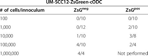 In Vivo Limiting Dilution Assay For Um Scc12 Cells Download Table