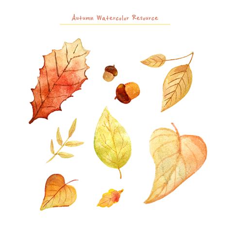 가을 단풍 수채화 오브젝트 세트 07 유토이미지 상세페이지 베이직샵 일러스트 22446533