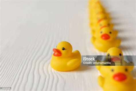 노란색 고무 오리의 행은 흰색 색상의 나무 곡물 패널 배경에 설정 장면 자신의 방향을 따라 라인에서 떨어져 하나의 오리와 공식