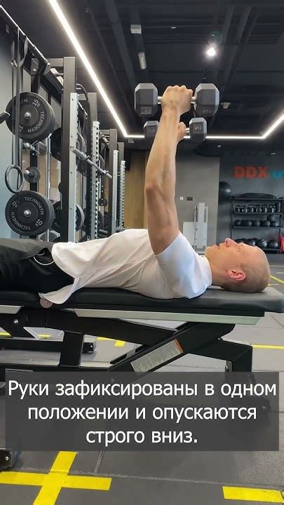 ТЫ ДЕЛАЛ ЭТО НЕПРАВИЛЬНО Разводка гантелей лёжа Youtube