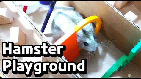 Diy 햄스터 미로 탈출 성공할까 Youtube