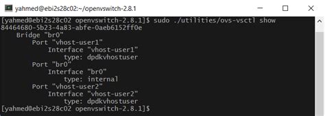 Using Open VSwitch With DPDK For Inter VM NFV Applications