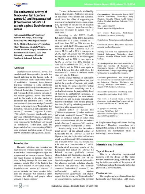 Pdf The Antibacterial Activity Of Tembelekan Leaf Lantana Camara L