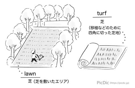 「能力」を意味するcapacityとcapabilityの違いをイラストで理解しよう Picdic