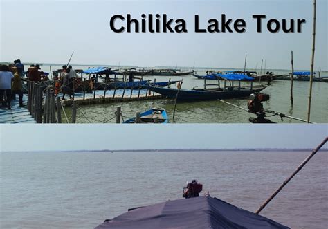 Chilika Lake In Odisha A Journey Through Natures Paradise Amazing