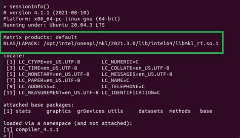Accelerate R Code With Intel® Oneapi Math Kernel Library