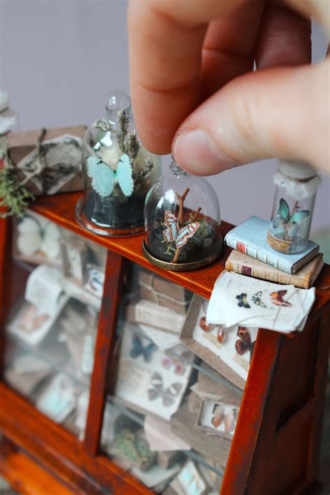 Miniature Moth Museum Display Case Etsy Uk