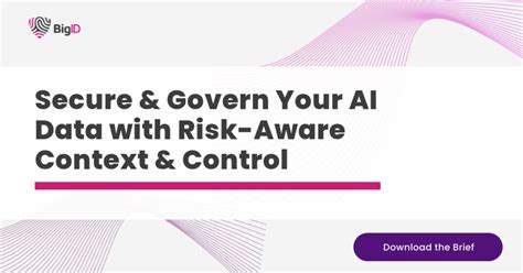 Deepseeks Data Dilemma Why Ai Security And Governance Matter More Than Ever Bigid