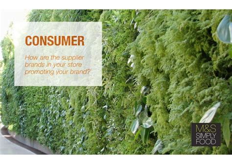 Shopper Vs Consumer Ppt