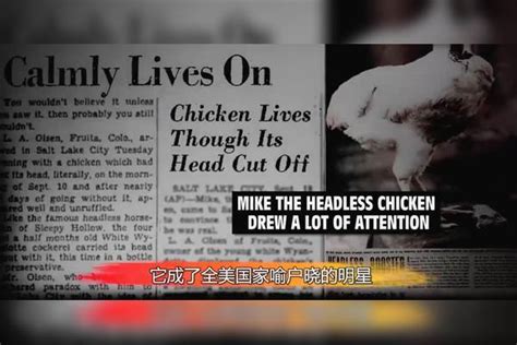 女子树林散步，发现一只“无头怪物”迎面走过，看到她掉头就跑
