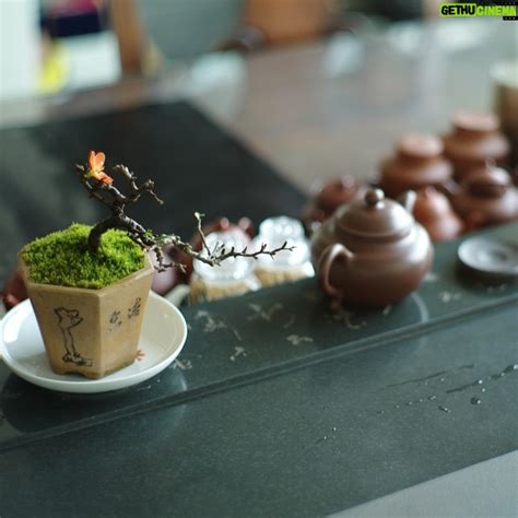 Bae Yong Jun Gethu Cinema