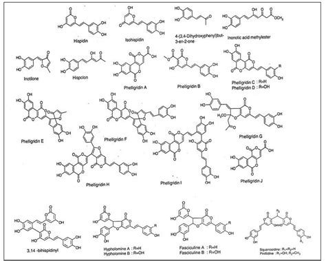 Structure Of Some Important Styrylpyrones Isolated From Phellinus Download Scientific Diagram