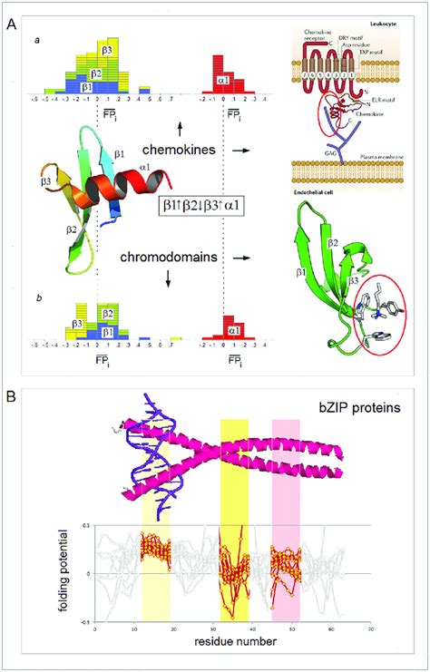 Electronic Configuration Of The Polypeptide Backbone Versus Complexity