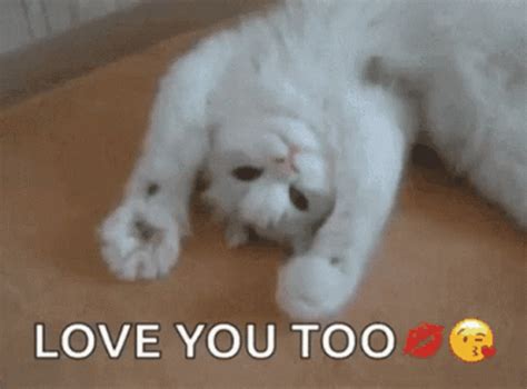 Love You Too S