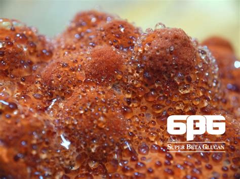 Why Immulink Immulink Mbg