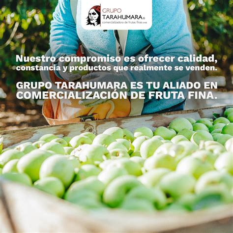 Grupo Tarahumara Comercializadora De Frutas Finas Guadalajara
