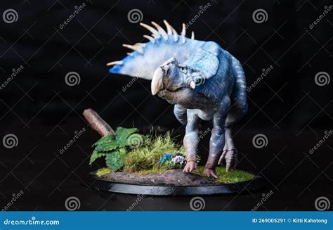 Protoceratops Dinosaur On Black Background Stock Image