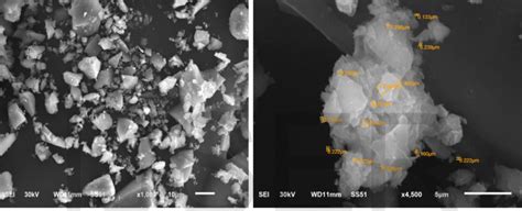 SEM Images Of The Synthesized TiO 2 S Download Scientific Diagram