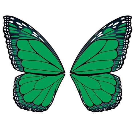 Premium Vector Butterfly Wings