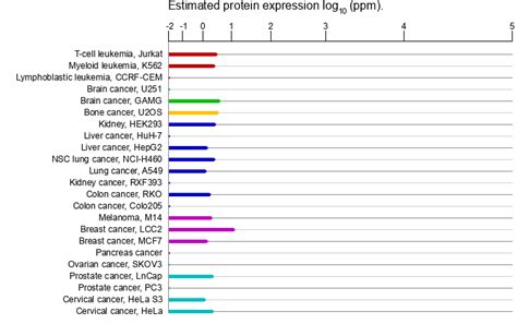 Rictor Gene Genecards Rictr Protein Rictr Antibody