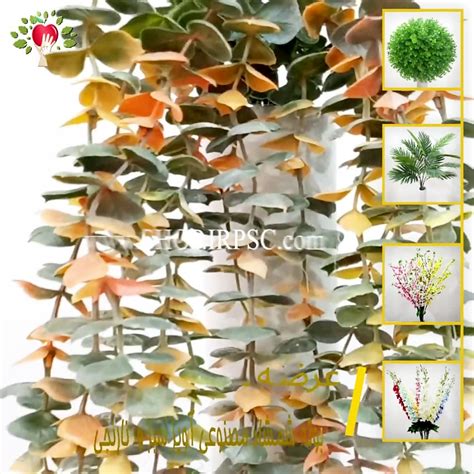 قیمت بوته شمشاد مصنوعی آویز سبز و نارنجی فروشگاه ملی