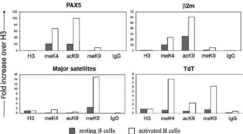 ChIP Analysis Of Histone Modifications At Specific Loci Data Represent Download Scientific
