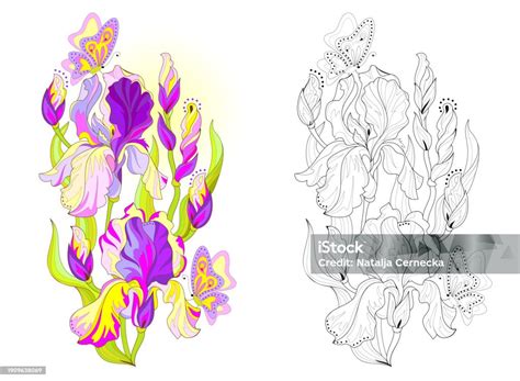 채색을 위한 다채롭고 흑백 패턴 아름 다운 붓꽃의 판타지 그림입니다 모던한 프린트 어린이와 성인을 위한 색칠하기 책용 워크시트 벡터 이미지입니다 0명에 대한 스톡 벡터 아트