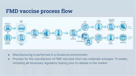 Generic Manufacturing Process Of Foot And Mouth Disease Vaccines Ppt