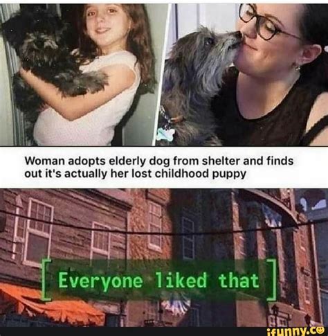 Woman Adopts Elderly Dog From Shelter And Finds Out Its Actually Her