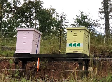 Location Location Location Finding The Best Location For A Beehive