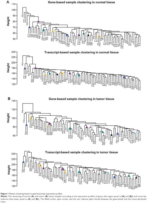 functional divergence and convergence between the transcript network a