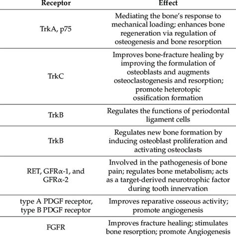 The Receptors And Effect Of Neurotrophins On Bone Download