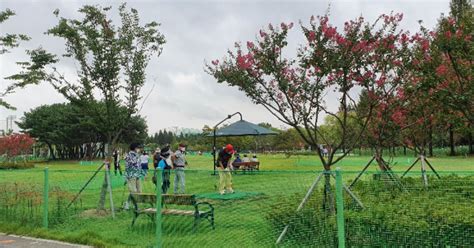 광주시체육회 첨단체육공단 파크골프장 새 단장