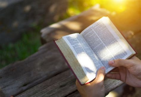 Would God Curse His Treasured Possession Reveal Christ Live Truth