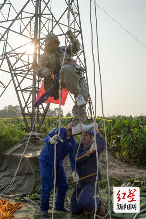 220千伏线路带电作业 确保清凉不断线 标件库