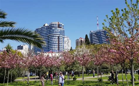 Из сердца фармы технологии аптек увеличивают допродажи в традиционной рознице в 3 4 раза