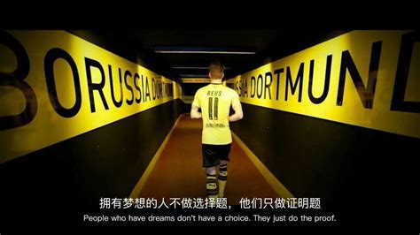 罗伊斯 高清图片，堆糖，美图壁纸兴趣社区