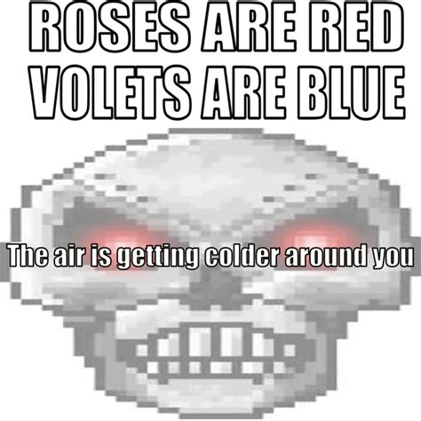 A Little Terraria Meme I Made Rterrariamemes