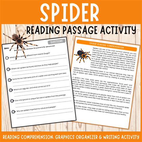 Spider Reading Passage Comprehension Questions Graphics Organizers By