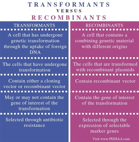 what is the difference between transformants and recombinants pediaa