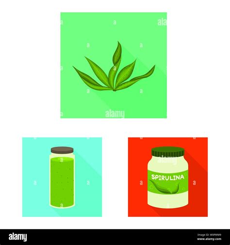 Vector Vectors Stock Vector Image And Art Alamy