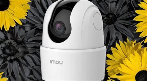 Descubre La Mejor Cámara De Vigilancia Wifi Para Interior De Imou La