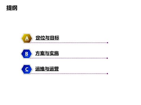 农村综合信息服务平台方案pptword文档在线阅读与下载无忧文档