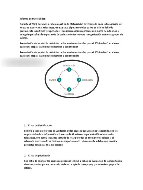 Informe De Materialidad Pdf