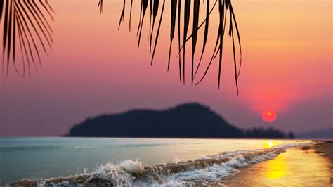 The Best Beach Zoom Background For When Youre Dreaming Of A Tropical
