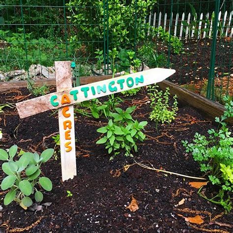 12 DIY Garden Signs Made From Trash Crafting A Green World