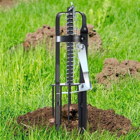 13 Old School Tricks To Keep Moles Out Of Your Garden Plantisima
