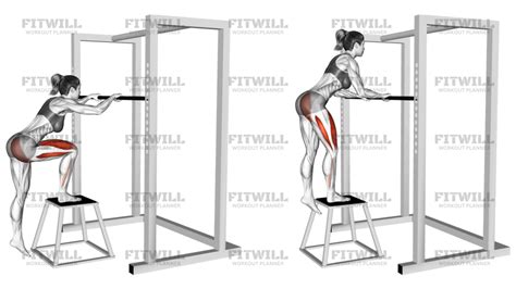 Bodyweight Glute Dominant Step Up Exercise Guide Techniques Benefits