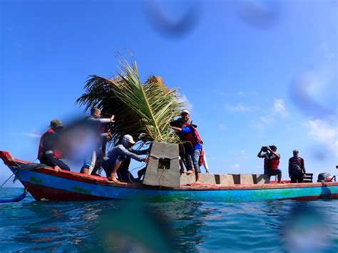 Fish Aggregating Devices And Coral Gardens Concrete Steps By PT Timah